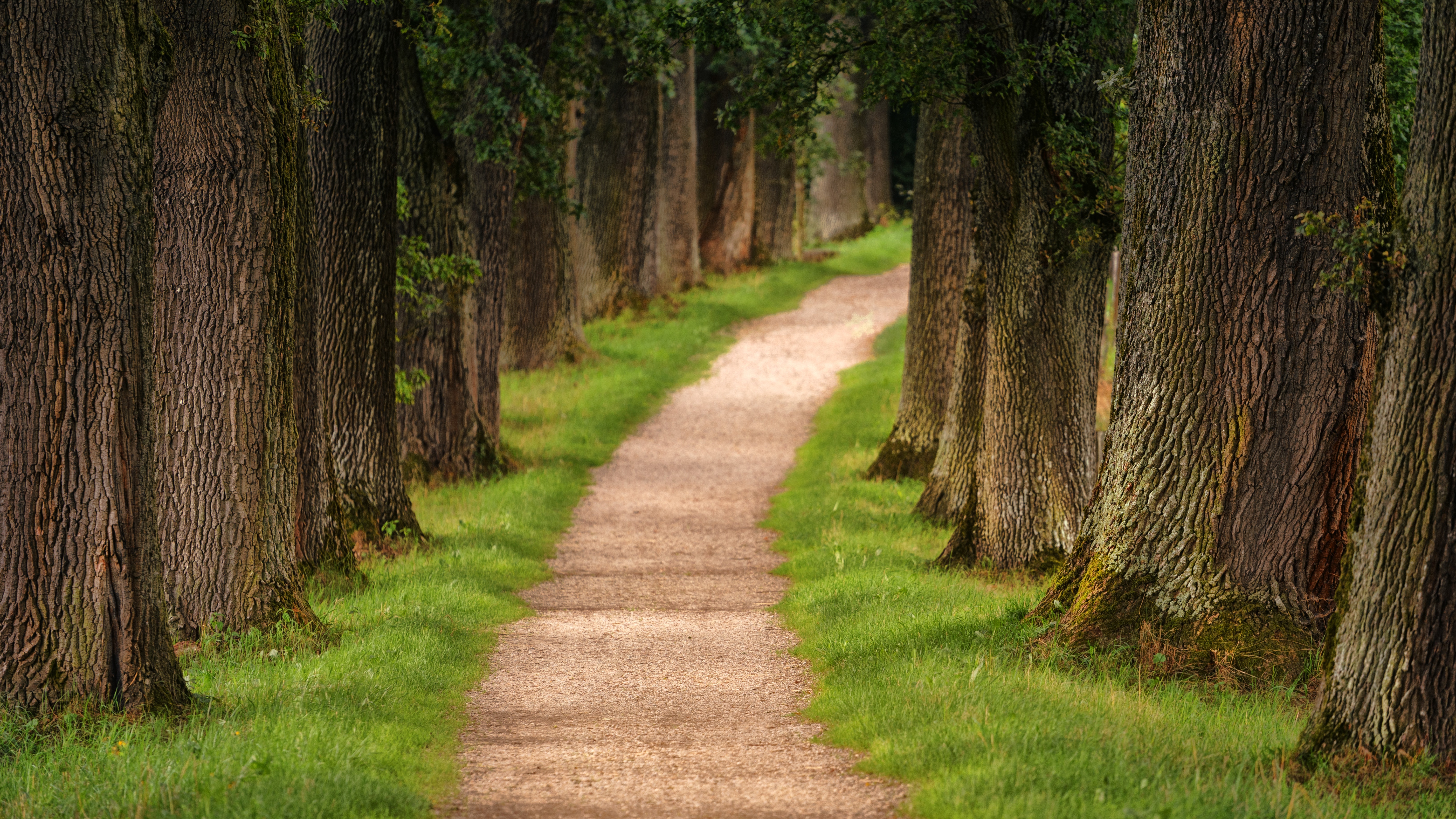 Pathway of Hope - Salvation Army Canada