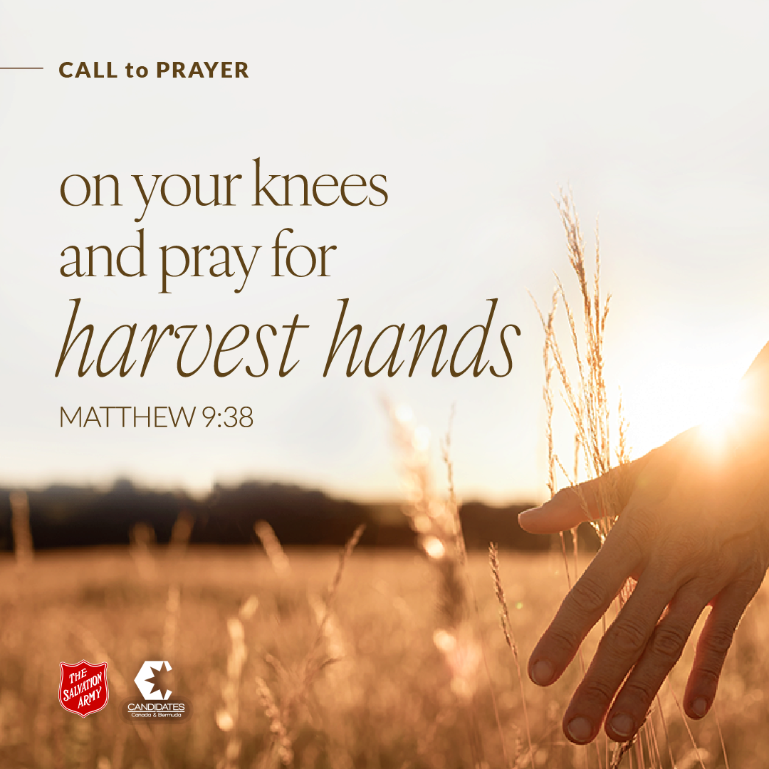 Resources - Salvation Army Canada