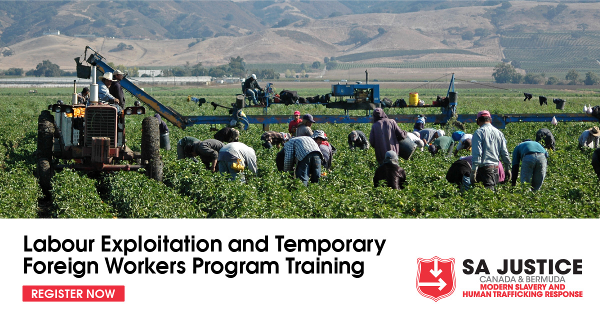 Temporary Foreign Workers Program and Labour Exploitation Training 2024 ...