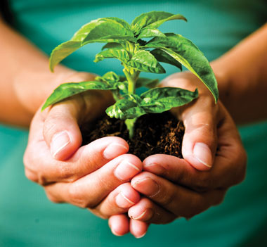 Sowing Seeds of Faith - Salvation Army Canada